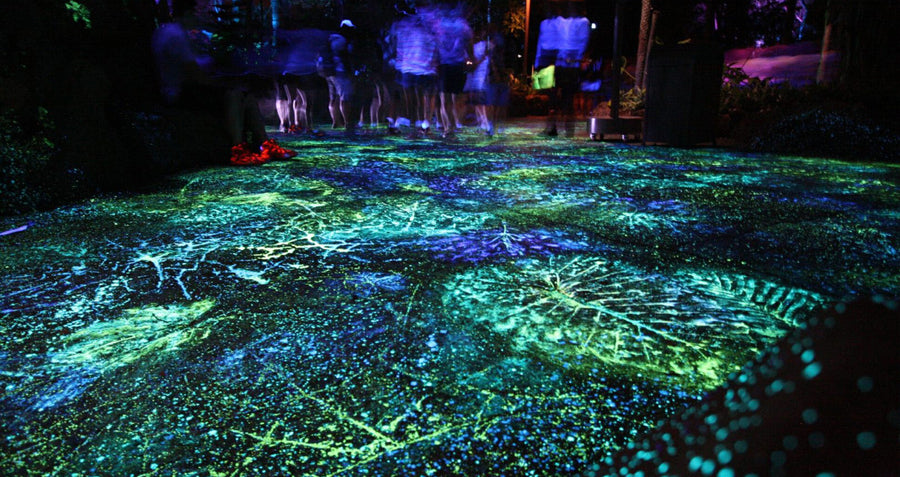 How To Make A Glow-In-The-Dark Multi-Use Pathway – Ambient Glow Technology